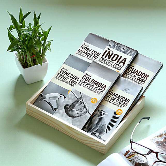 Buy/Send 2 Layer Bamboo & Amul Chocolates Combo Online- FNP