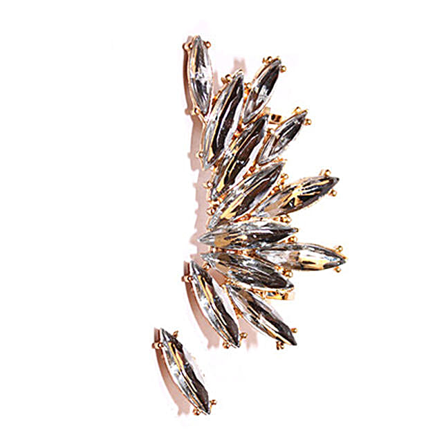 Buy/Send Magical Stone Earring Set Online- FNP