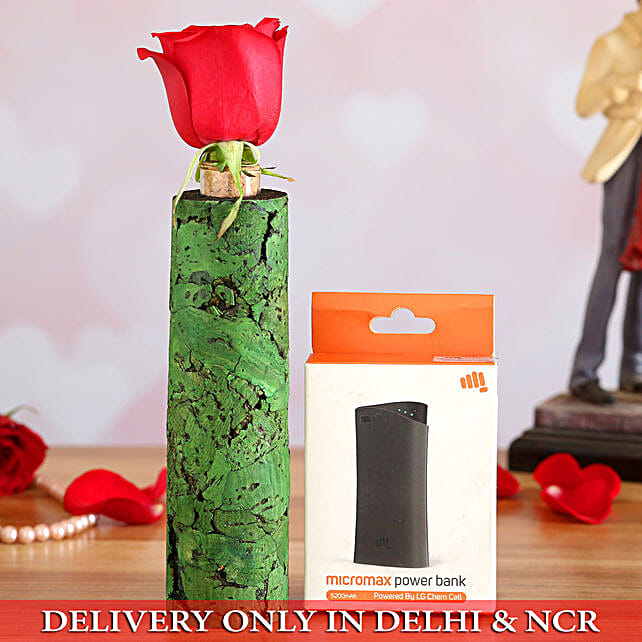 Buy/Send The Woody Rose Tube & Power Bank Online- FNP