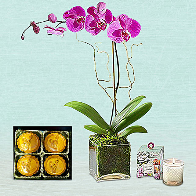 Pure Lotus Paste Mooncake With Purple Orchid Plant singapore | Gift ...